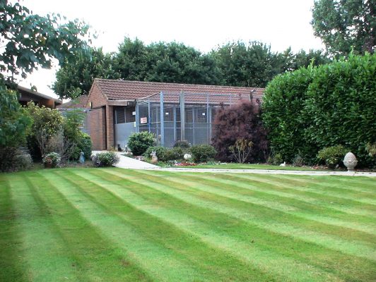 Warley Cross Dog Boarding | Warley Cross Kennels and Cattery